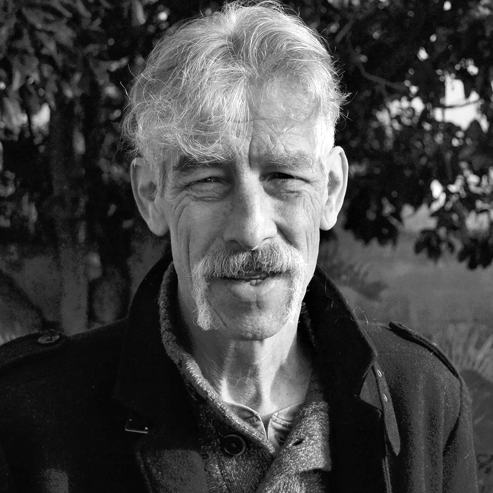 Articles by Tim Quinlan | Daily Maverick