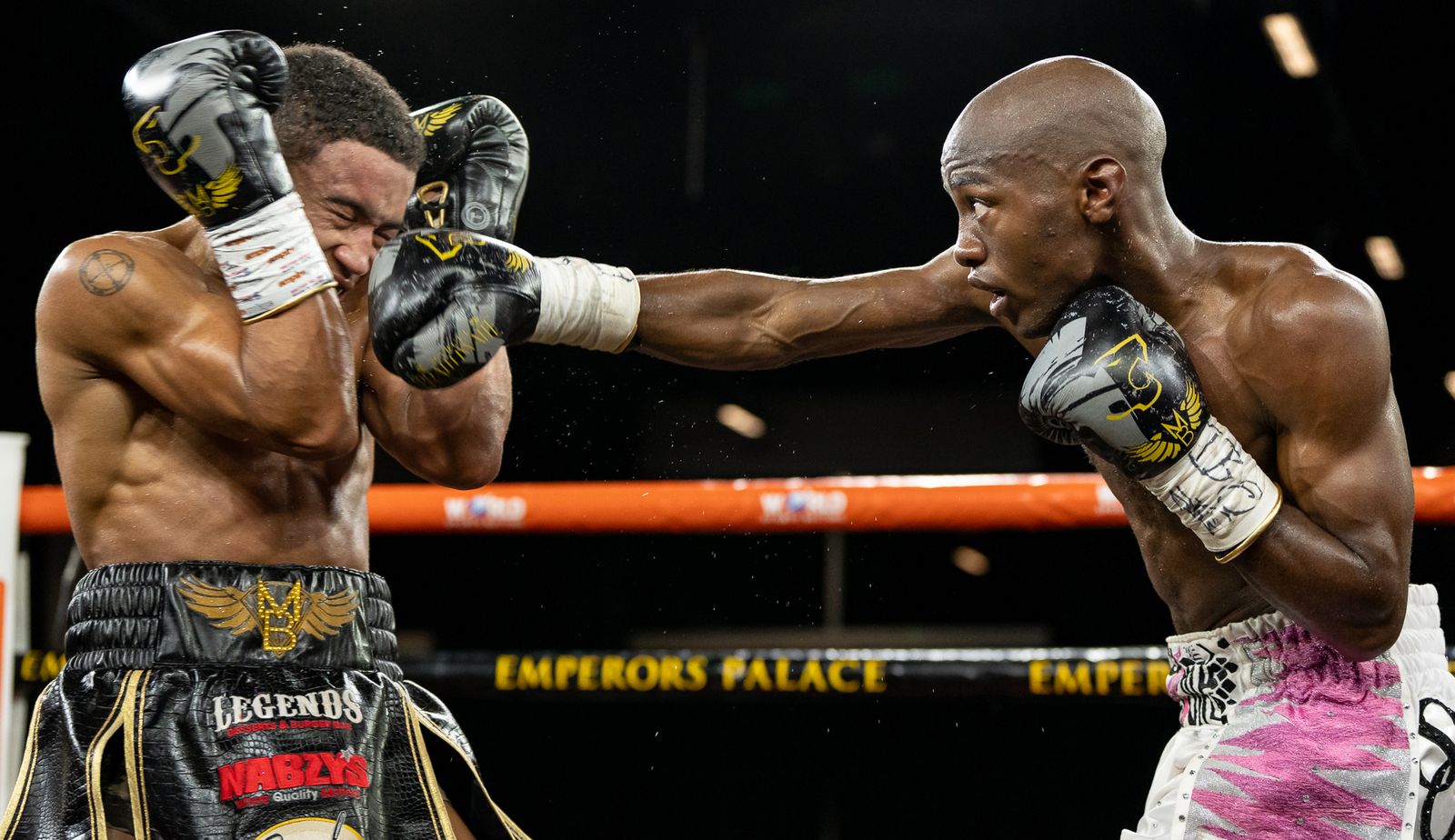 New Boxing SA board named by Sports Minister Zizi Kodwa