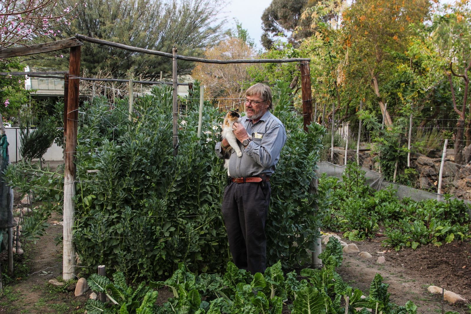 Pete’ garden: the golden years of a retired Prince Albert doctor