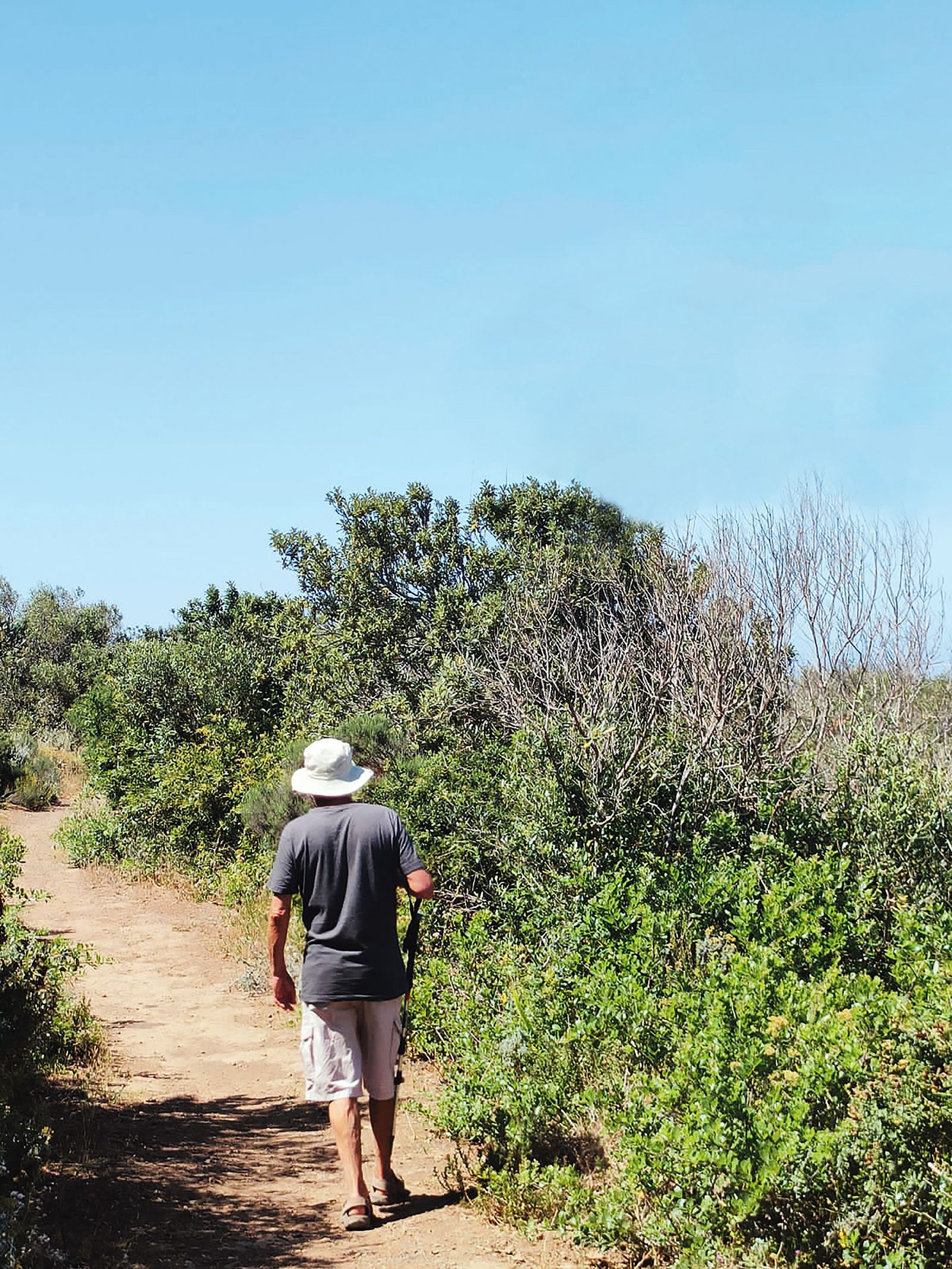 The call of the mild: mice and men in the Tygerberg Nature Reserve