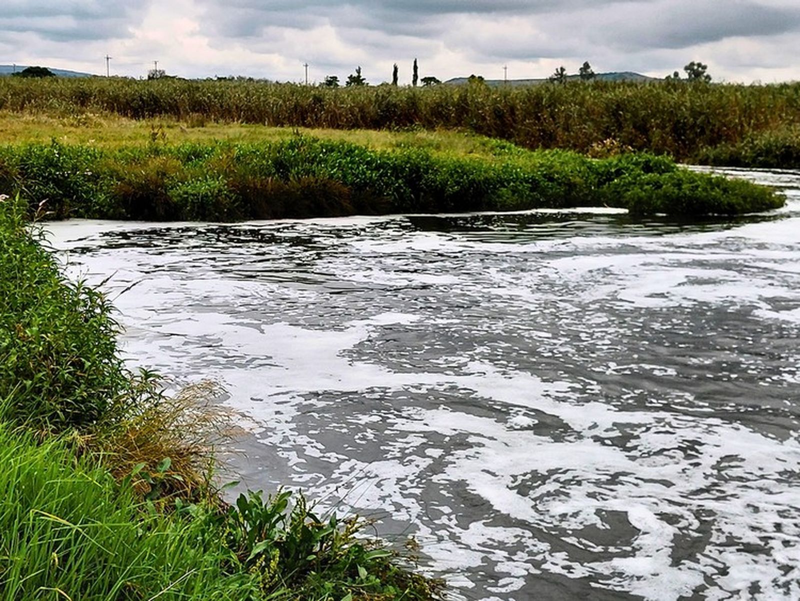 Gauteng’s rivers pushed toward ecological collapse