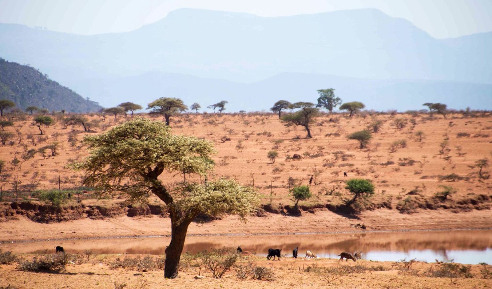 After the Drought: The rains have come to Msinga, but the devastation ...