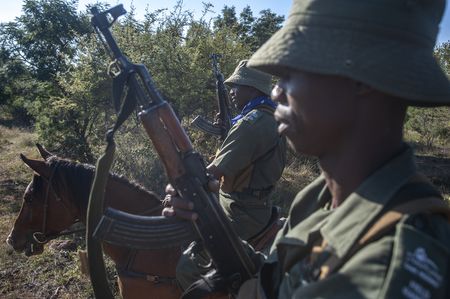 A tribute to the unsung wildlife conservation heroes dedicated to ...