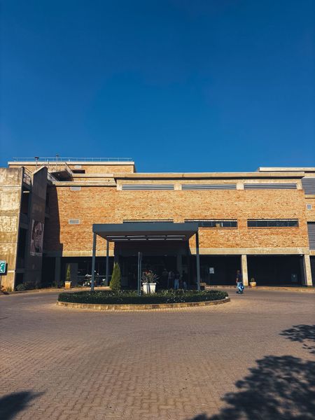 Wellness is a matter of life and death for Gauteng