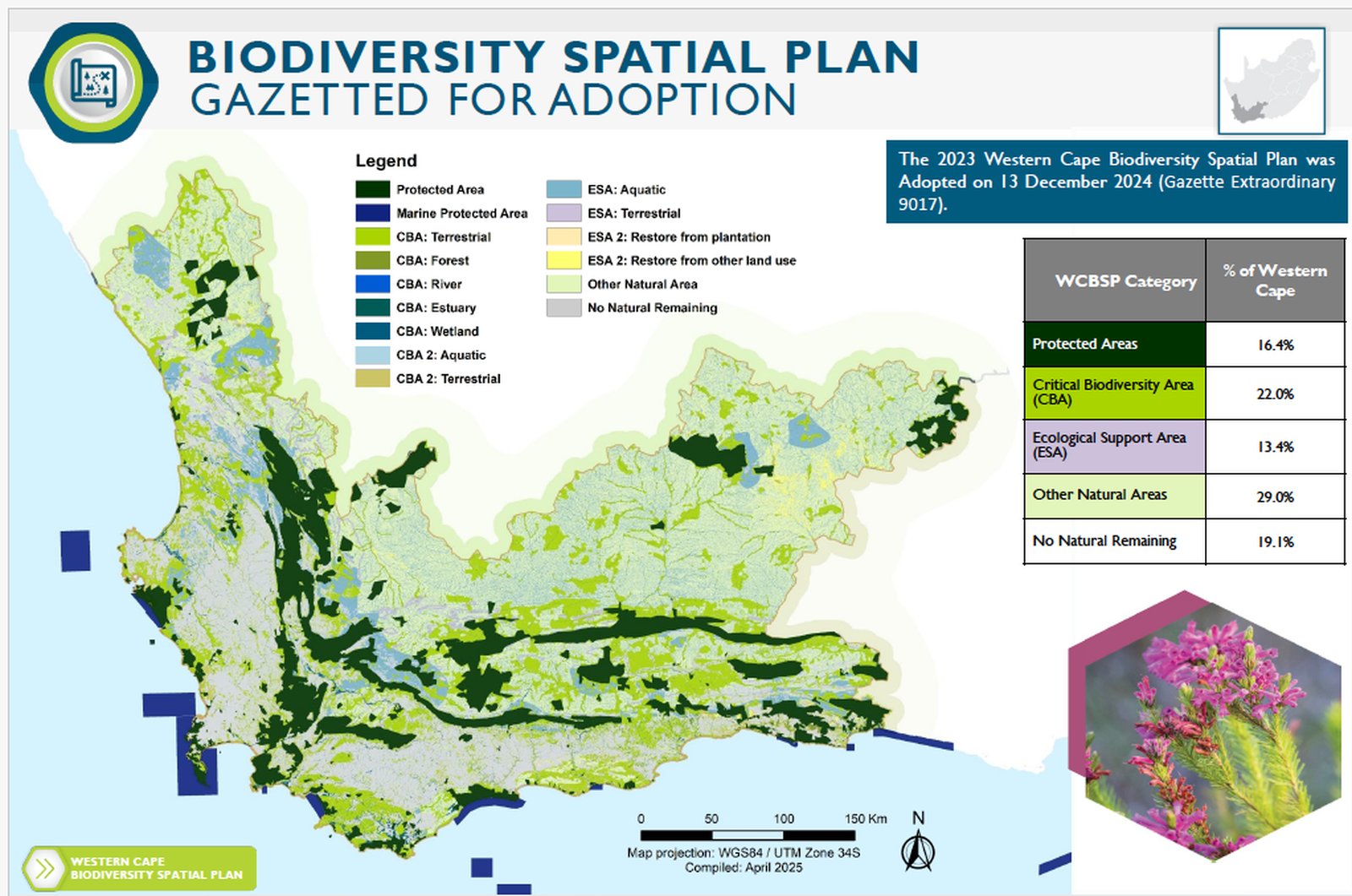 Biodiversity under pressure — Western Cape ecosystems face mounting threat
