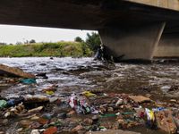 Gauteng’s rivers pushed toward ecological collapse