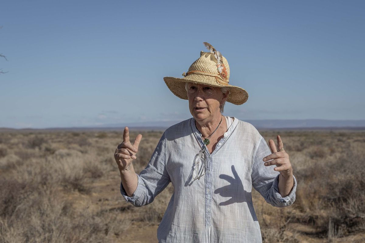 The artist’s way in the climate crisis