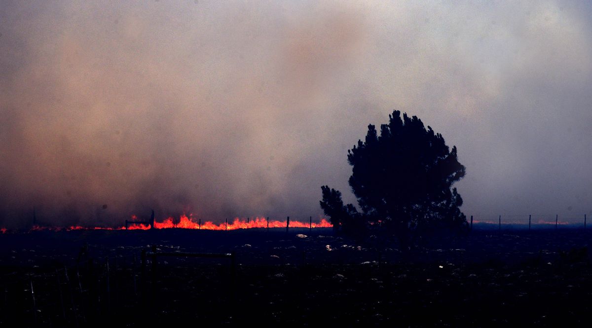 Nelson Mandela Bay on high alert after dry, windy veld fires ignite ...