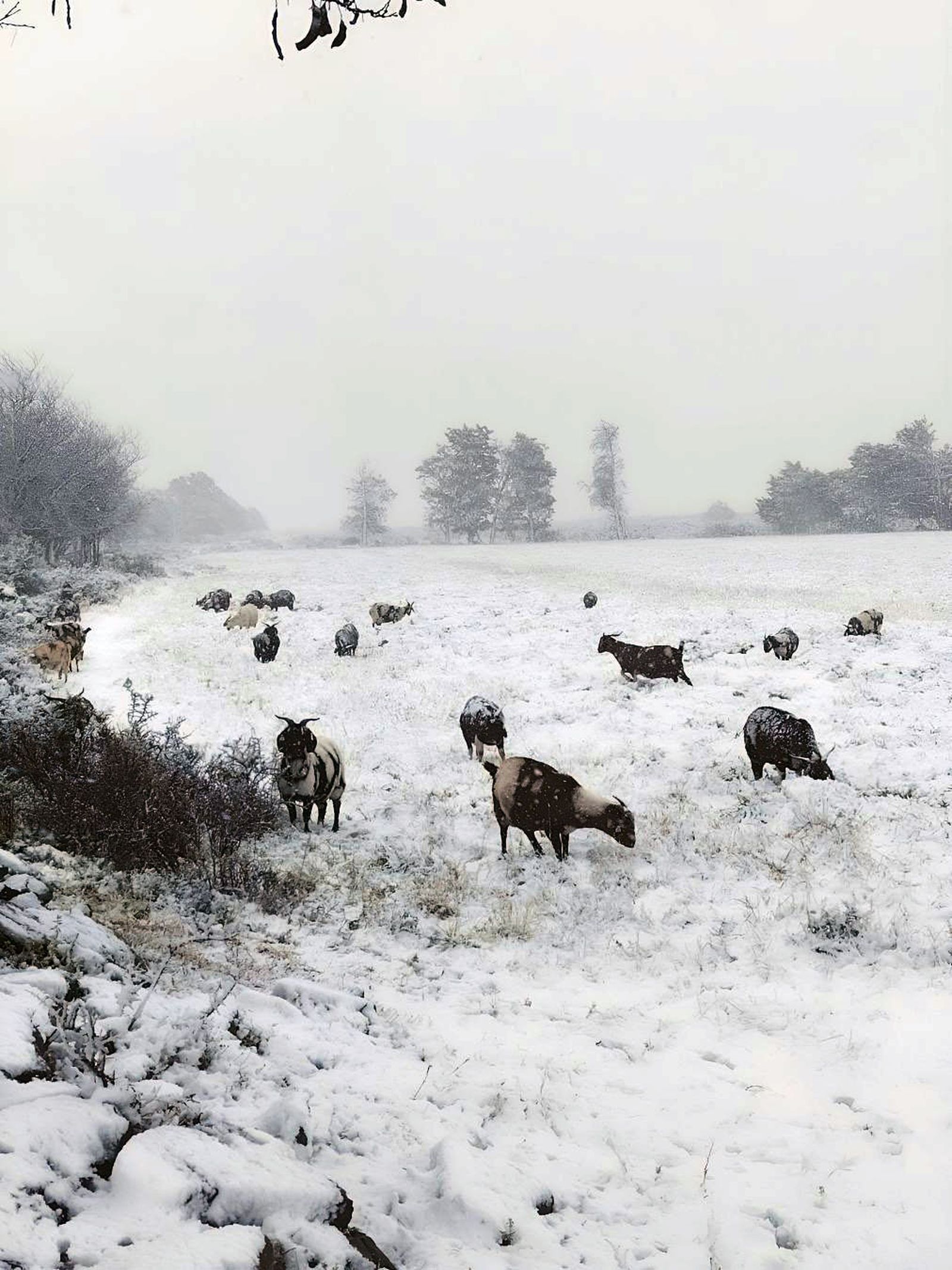 Snow, flooding and bitter cold hit South Africa as cut-off low persists