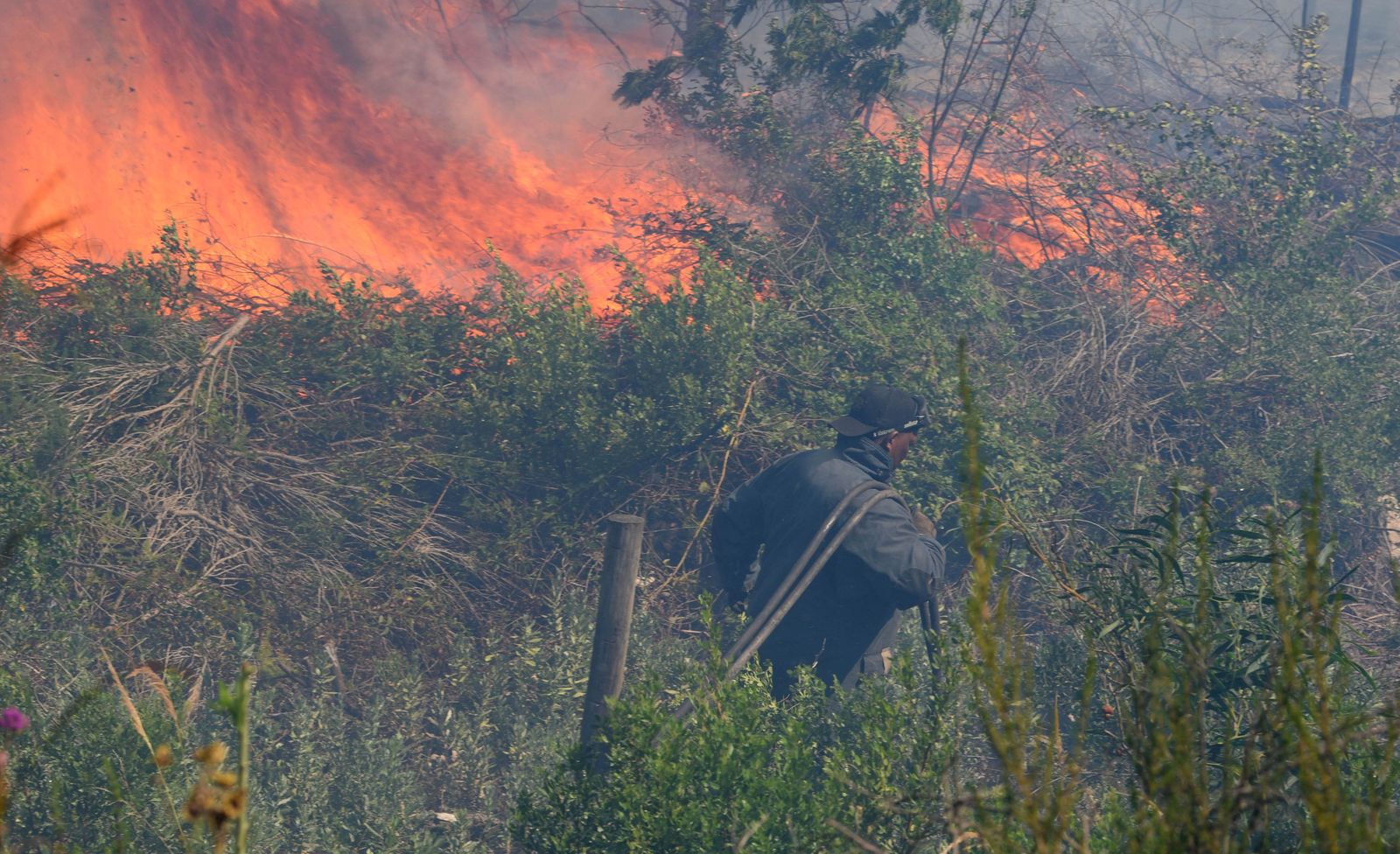 Raging veld fires in Nelson Mandela Bay force K9 Unit evacuation, cause ...