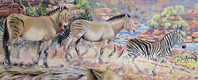 New discovery: fossilised giant zebra tracks found in South Africa