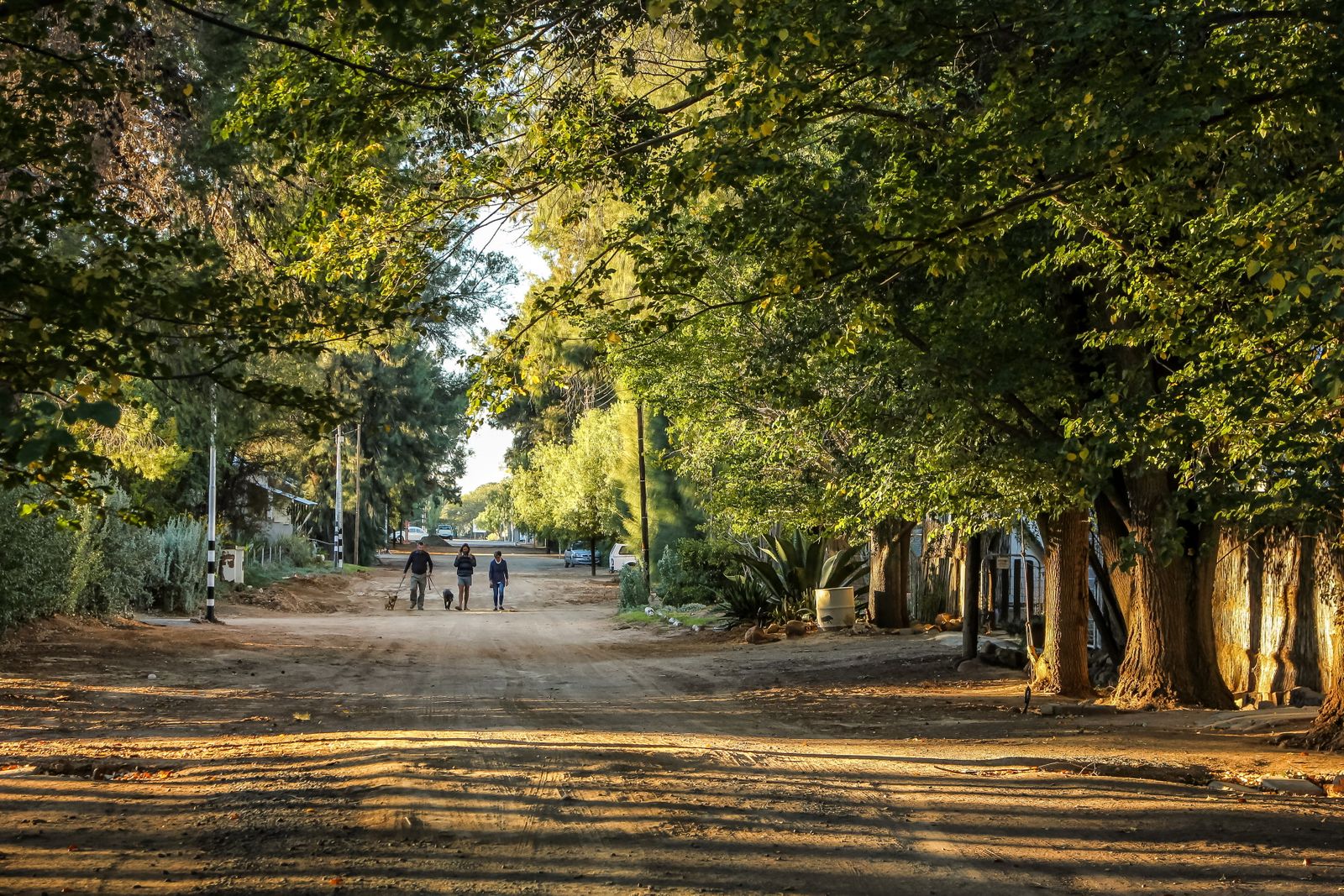 Vosburg – An Upper Karoo Tree-Proud Oasis in the Northern Cape
