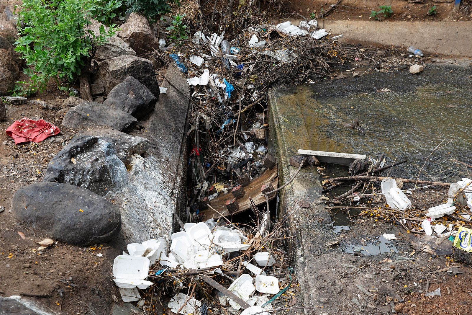Toxic tide — dangerously polluted waterways in Joburg and throughout SA ...