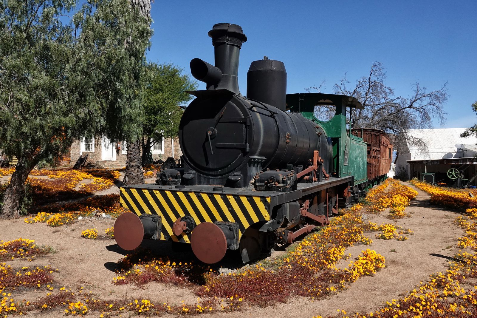 Springbok: Day trips and blooming history