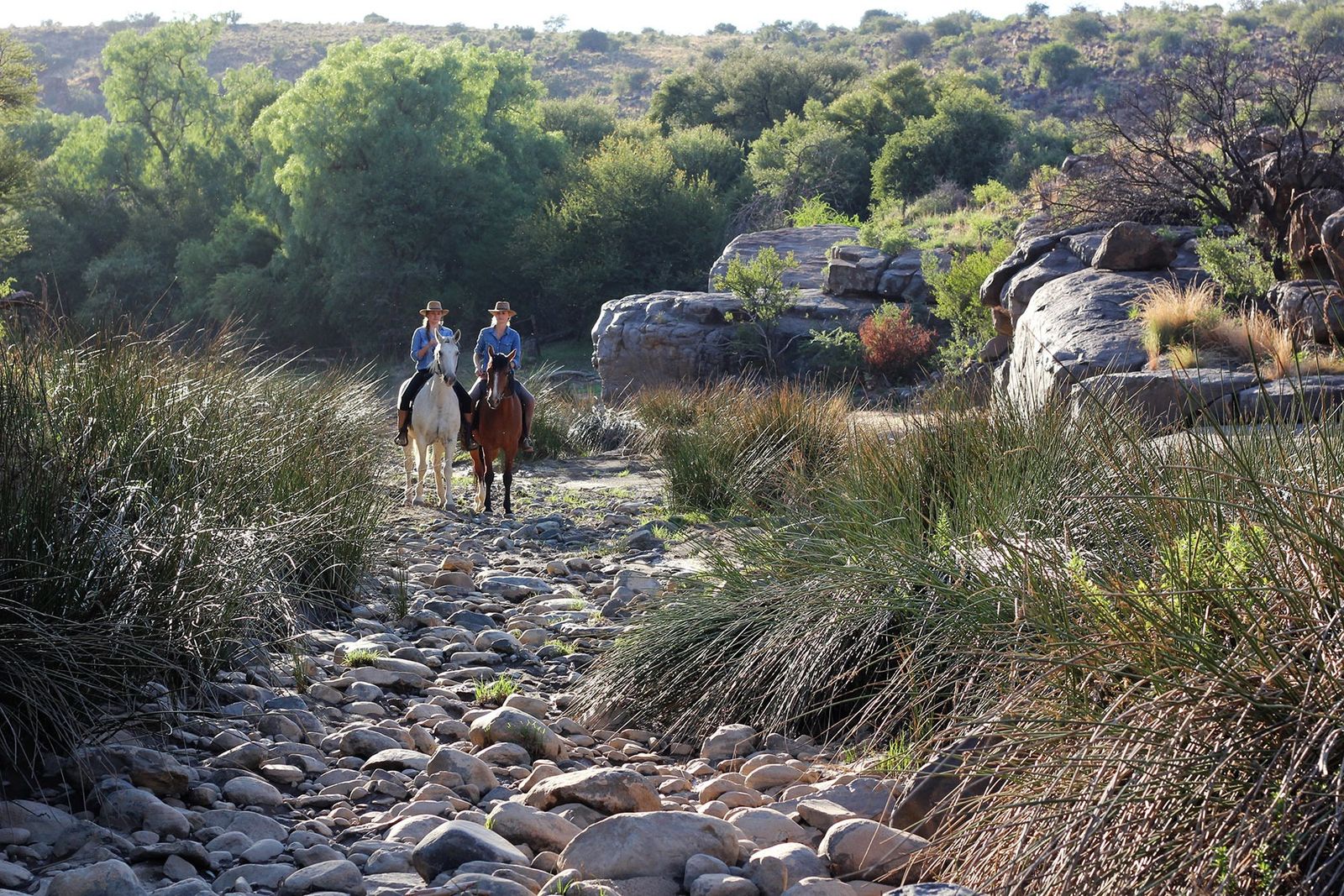 Exploring the high peaks and hidden valleys of the Great Karoo’s ...