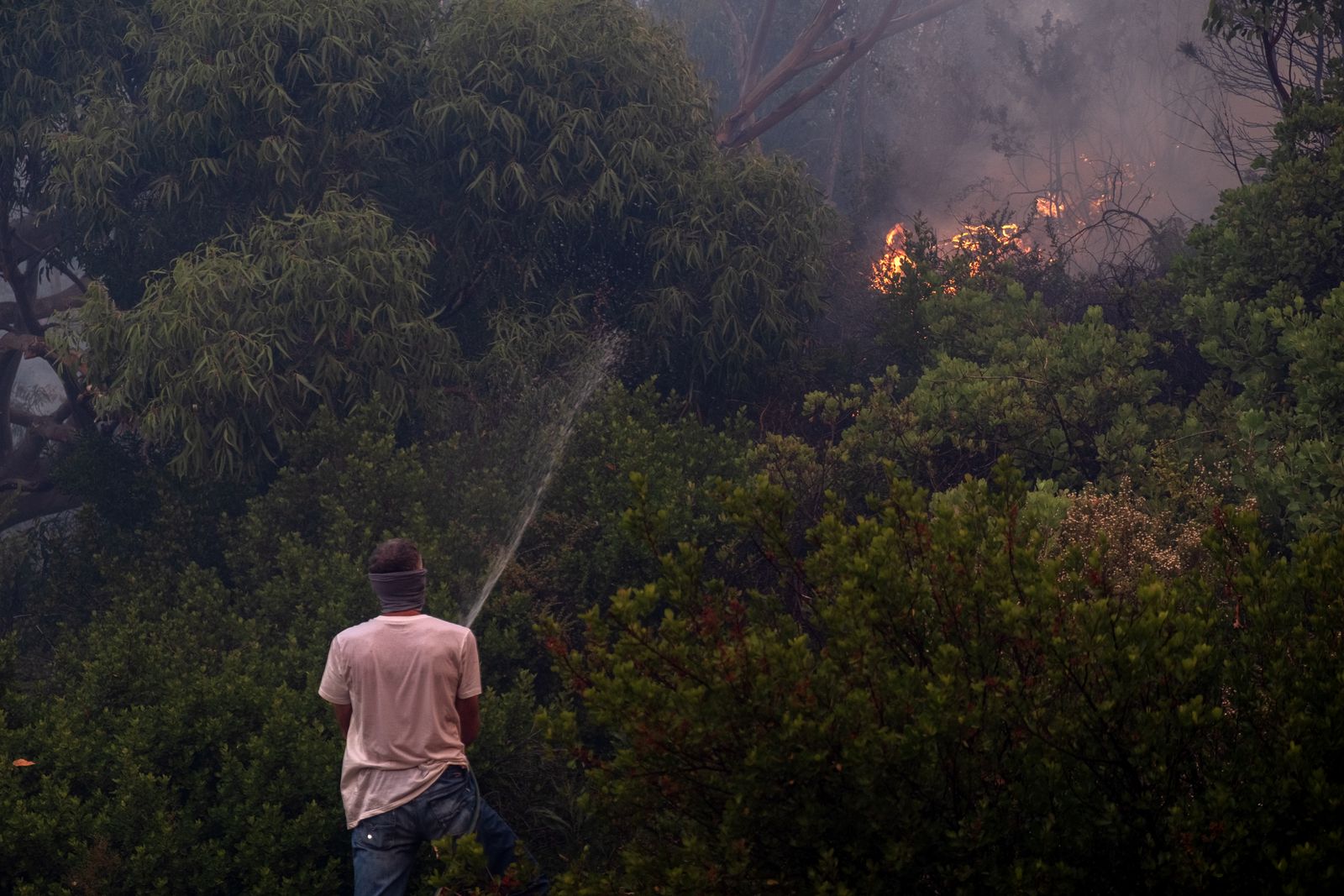Photo Essay: Simon’s Town blaze sweeps over mountain as firefighting ...