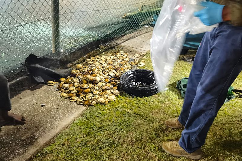 Police seize R400,000 in abalone as poachers exploit full moon conditions