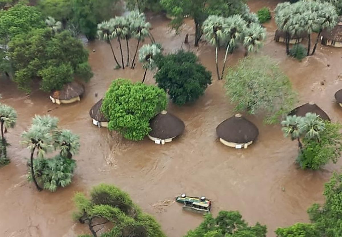 Kruger Park deluge: SANParks evacuates Letaba, closes Phalaborwa Gate ...