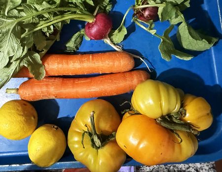 Tony Jackman recipes: ‘Found’ chicken and vegetable curry