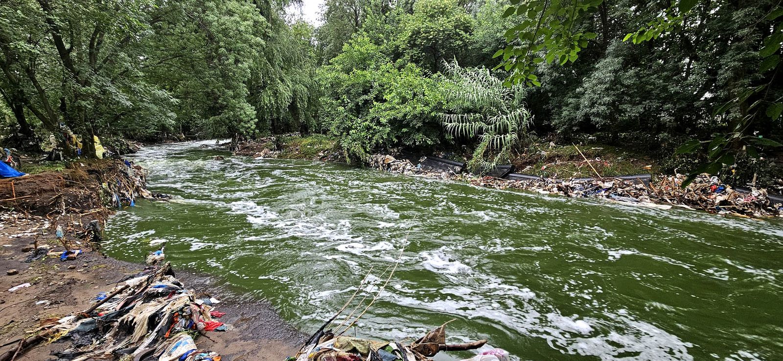 Tshwane's Hennops River turns green: algal blooms signal a growing ...