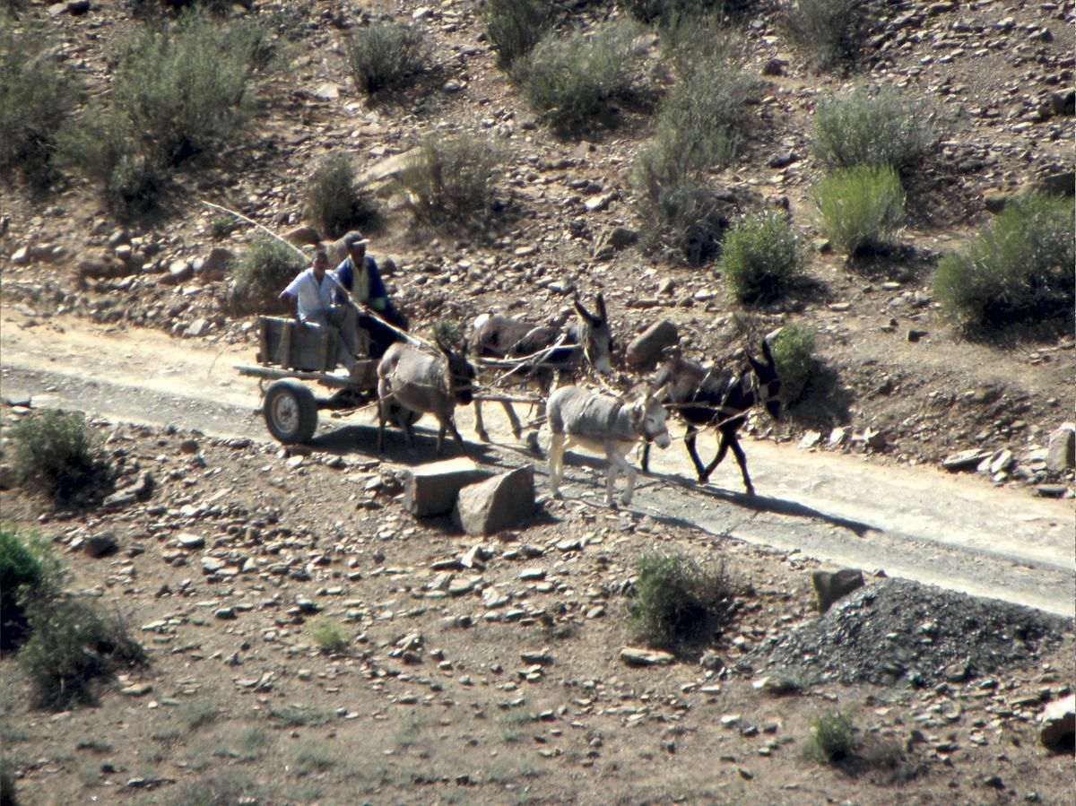 Cederberg: The Book, by Peter Slingsby