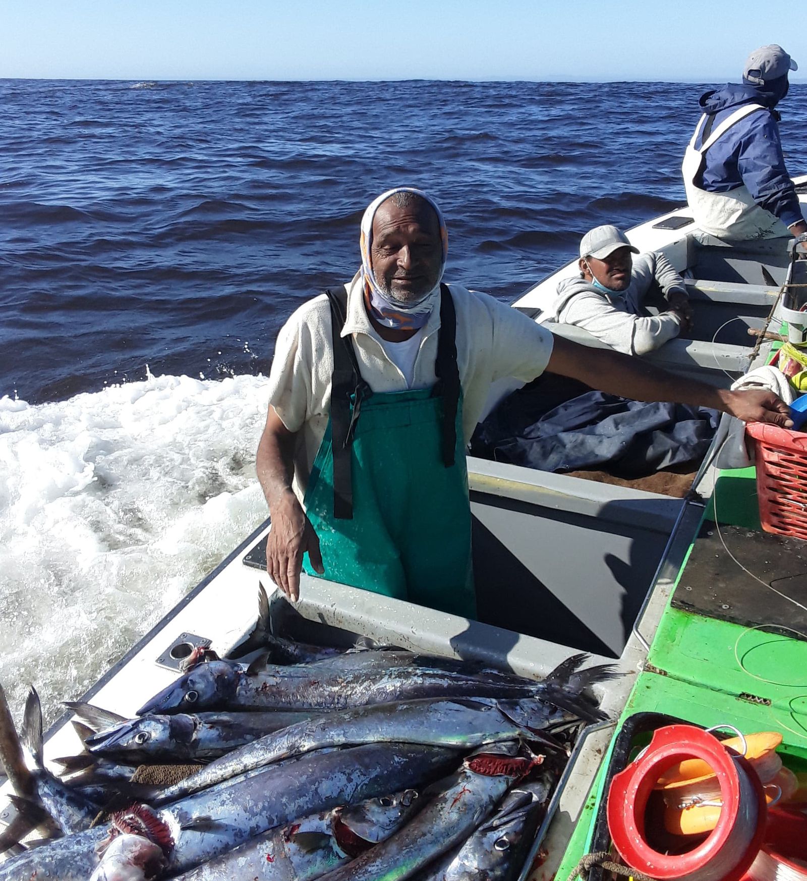 Inside SA’s fishing industry: Marine Protected Areas are the sea’s ...