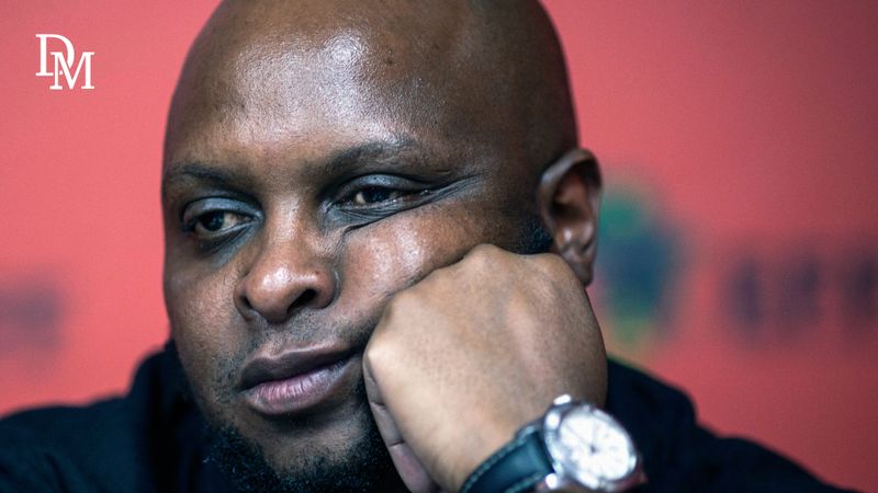 Watch – Flying too close to the sun(s): Floyd Shivambu, SA’s political ...