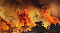 Inferno Madness: The severe impact of the Cape's adverse weather on ...