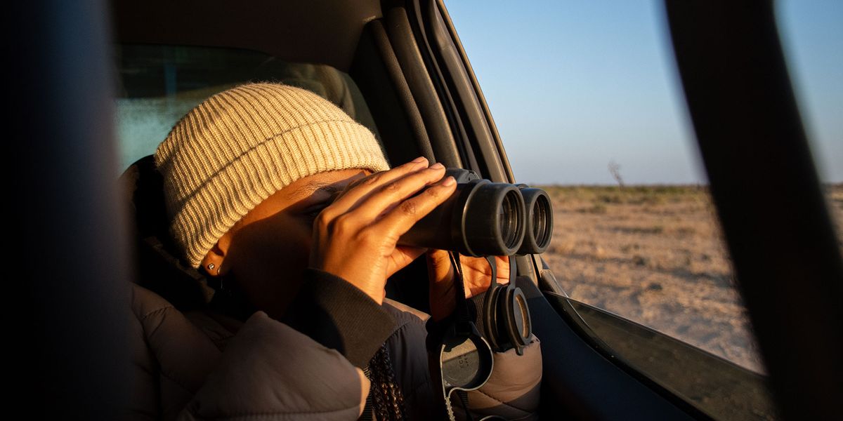 The women who count the Kruger Park’s lions