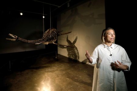 Skeletons of prehistoric predators on auction, and more from around the ...