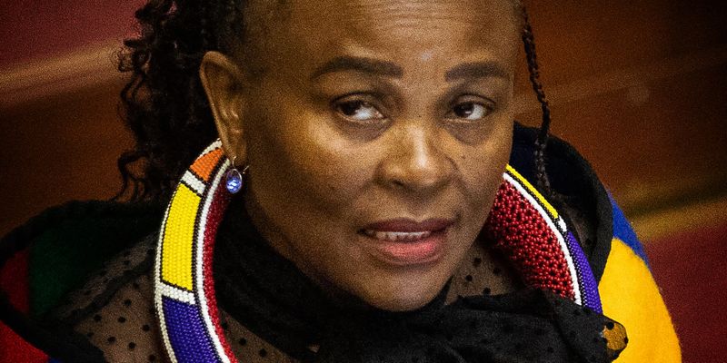 Court judgments are ‘opinions’, argue Mkhwebane and Mpofu while ...
