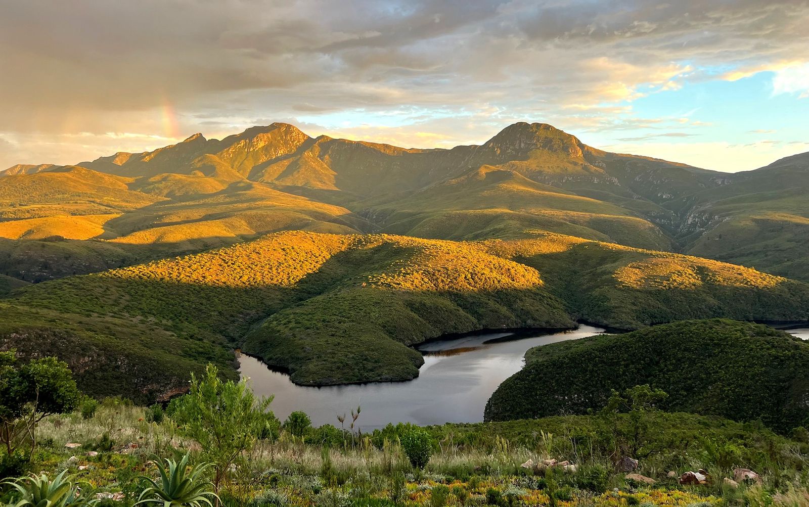 Western Cape adds 20 new nature reserves in major conservation boost