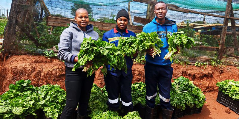 Cancer survivor and agripreneur on mission to ‘help people stop hunger’