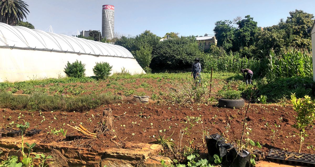 Story of a (downtown) African farm