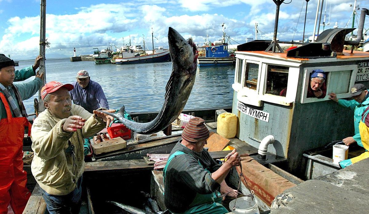 Op-Ed: The Promise and Peril of small-scale fishing co-operatives in ...