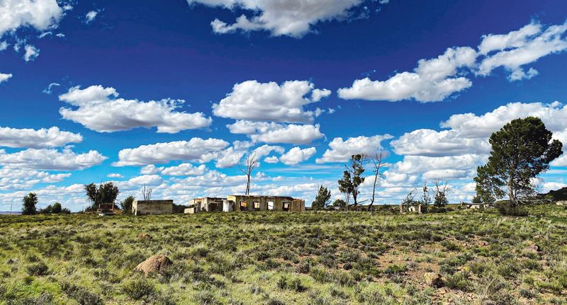 Wildest dreams: Meet the Karoo farmer who brings back the wilderness