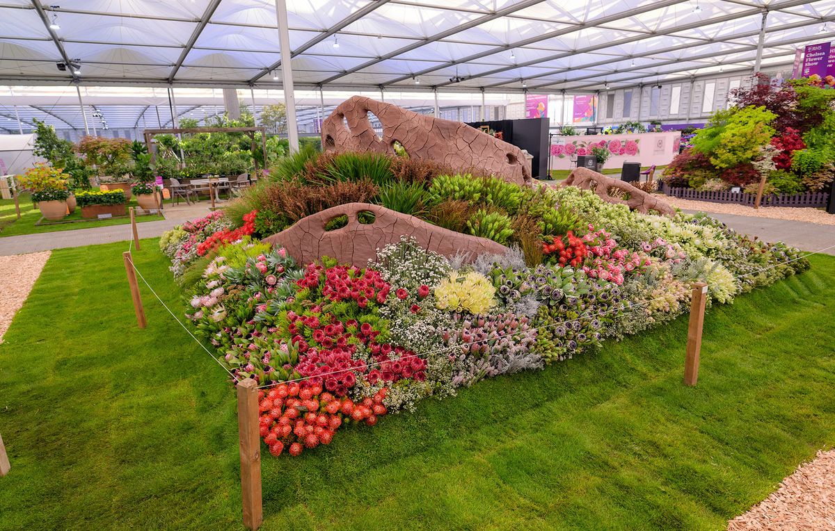 Chelsea Flower Show: South Africa’s long and hard road to gold