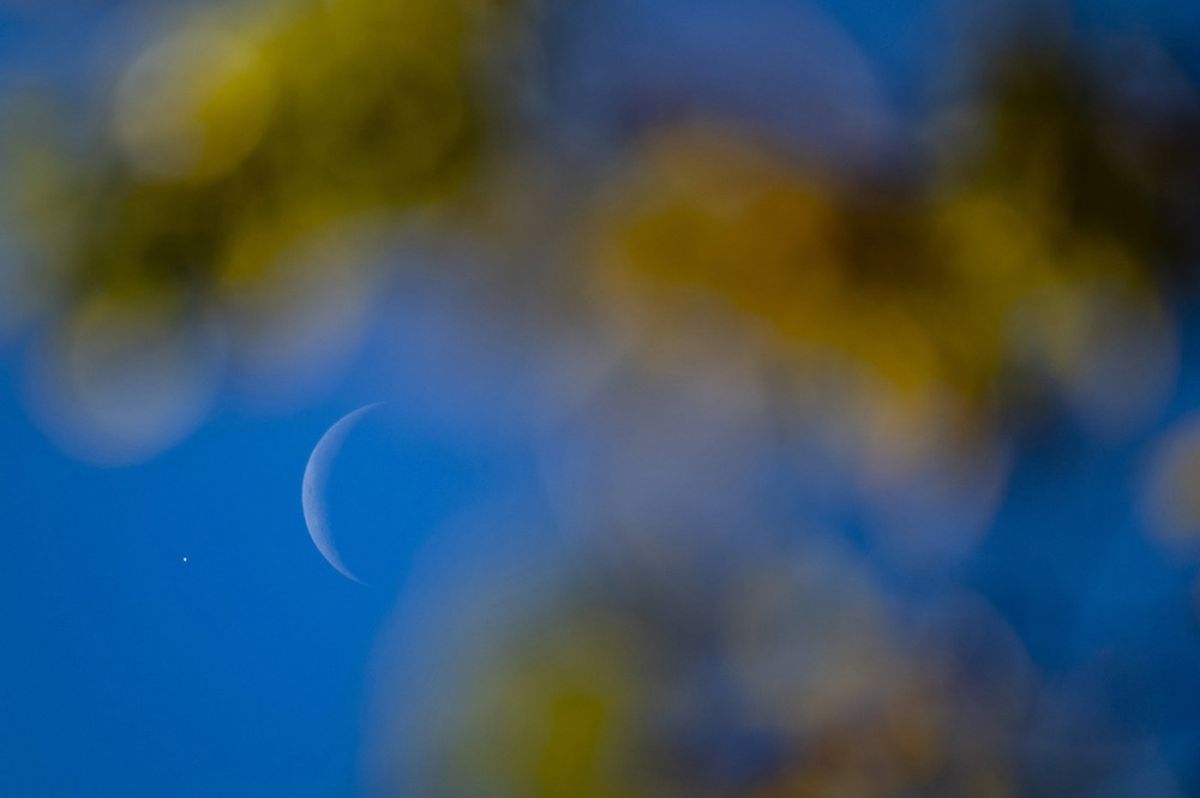 Venus and Moon planetary eclipse, and more from around the world