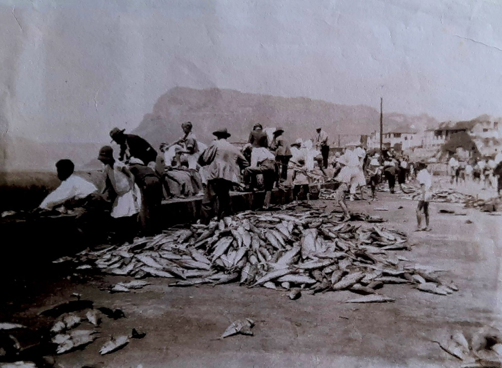 Inside SA’s fishing industry: Travis Daniels — at one with the sea