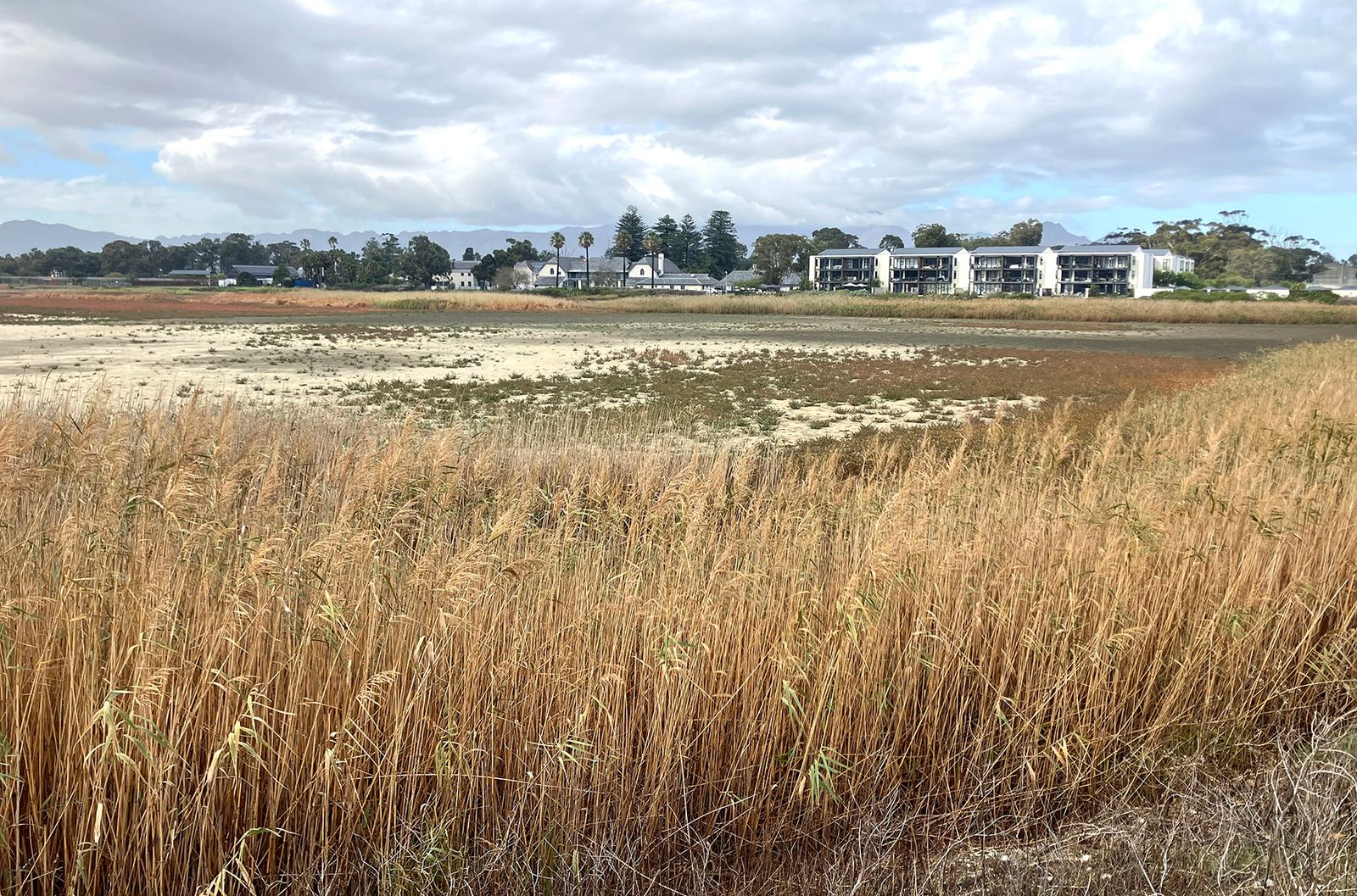 Paardevlei, Cape’s potential affordable housing and nature reserve project