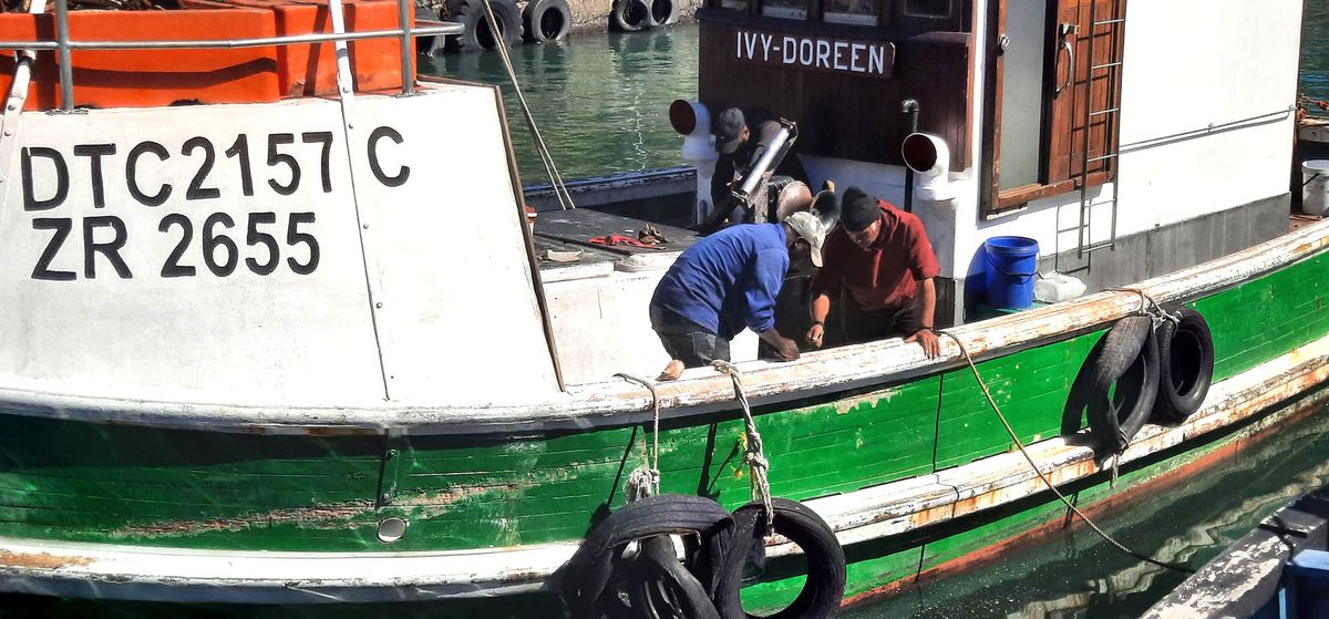 Quota quagmire and the crisis of fishing boats unable to fish