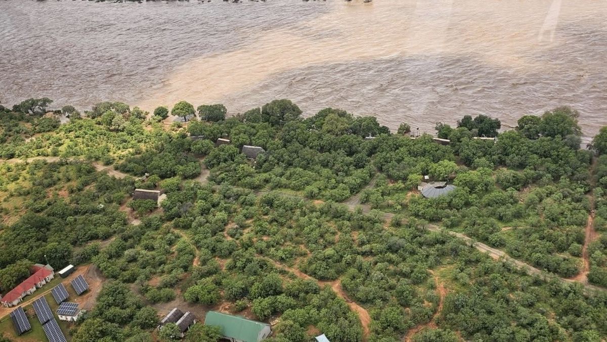 Kruger Park: SANParks evacuates Letaba, closes Phalaborwa Gate