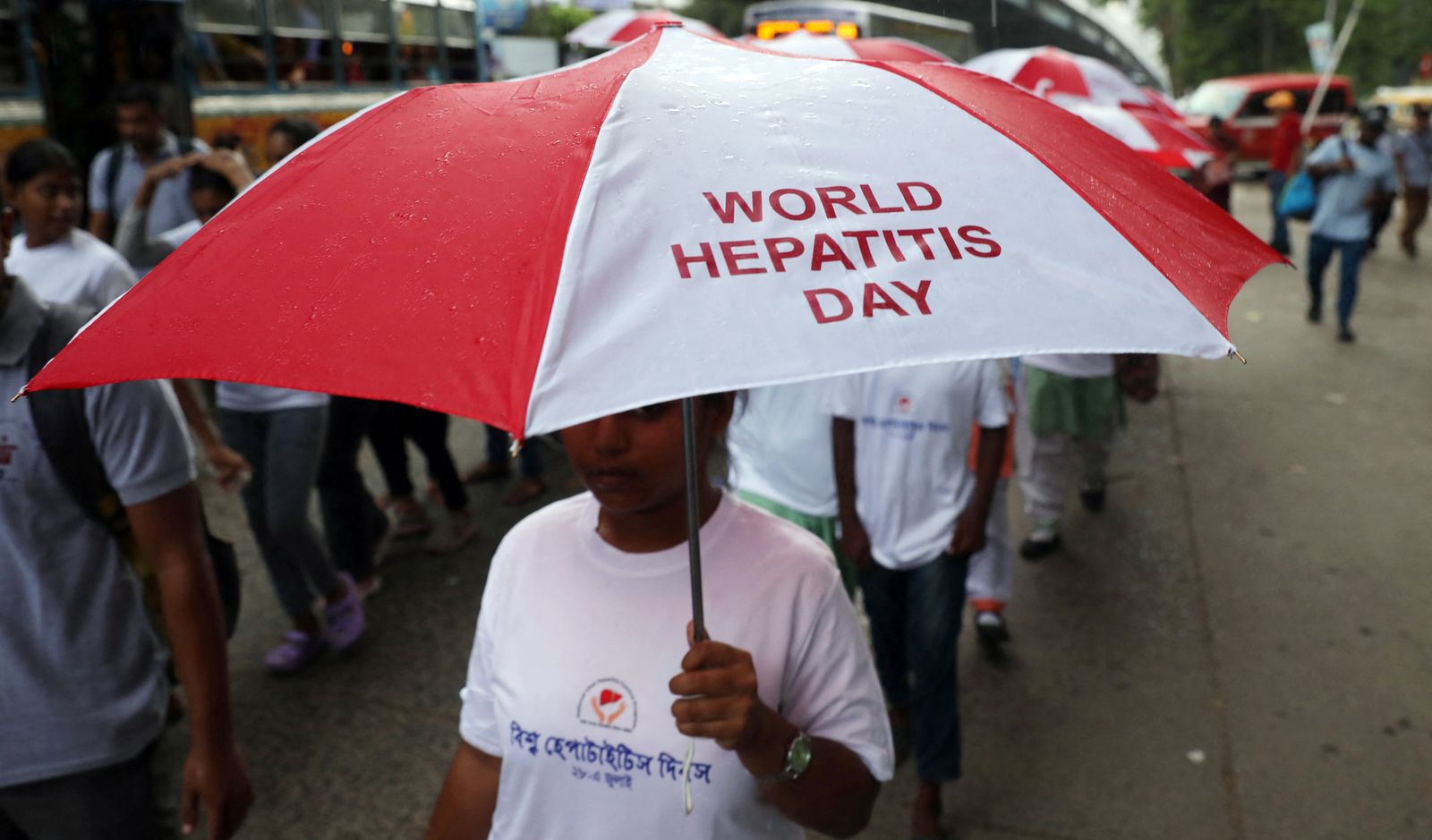Chronic viral hepatitis affects more than 70 million people in Africa