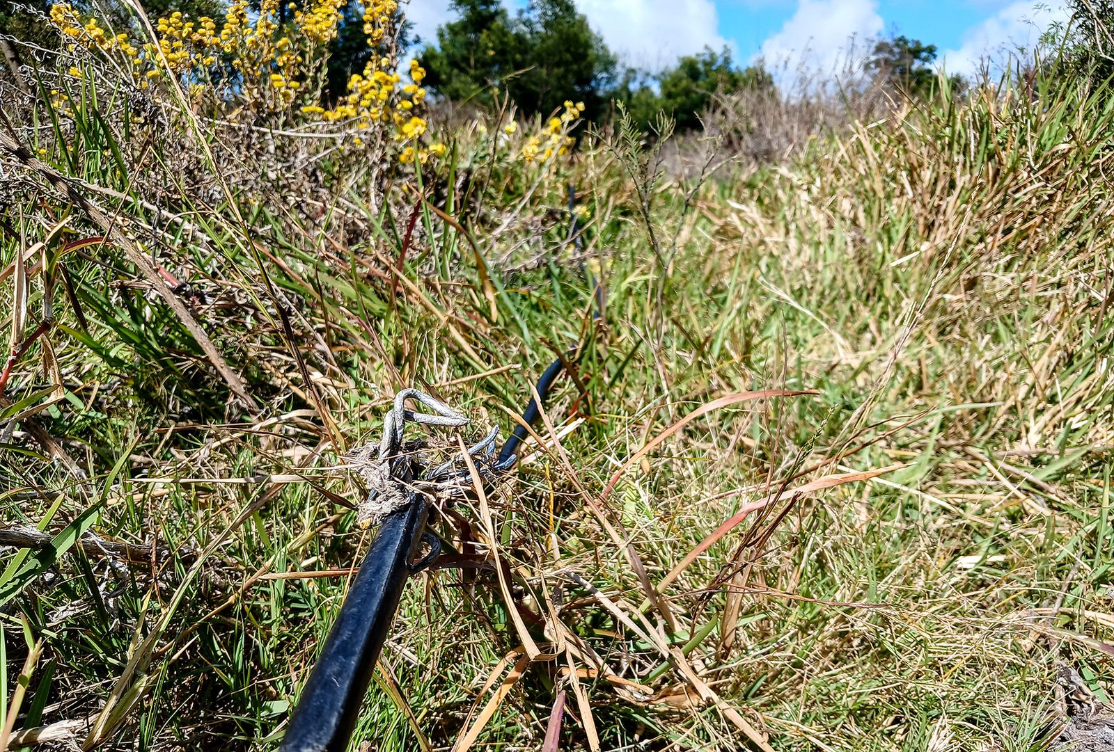 After a month in the dark, Gqeberha's Grogro residents again threaten ...