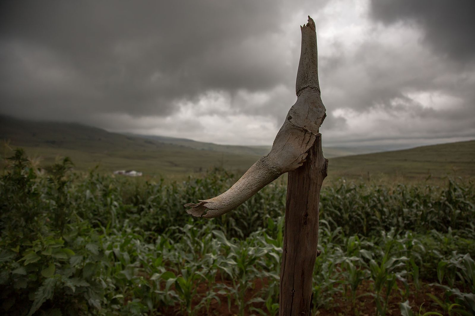 Photo Essay: The dying tribe of KwaBhaca
