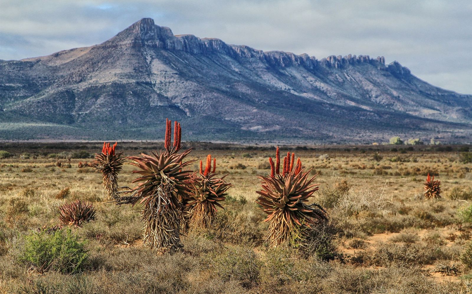 Exploring the high peaks and hidden valleys of the Great Karoo’s ...