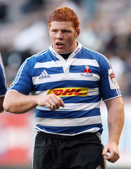 Bok great and Stormers legend Steven Kitshoff forced to retire due to ...