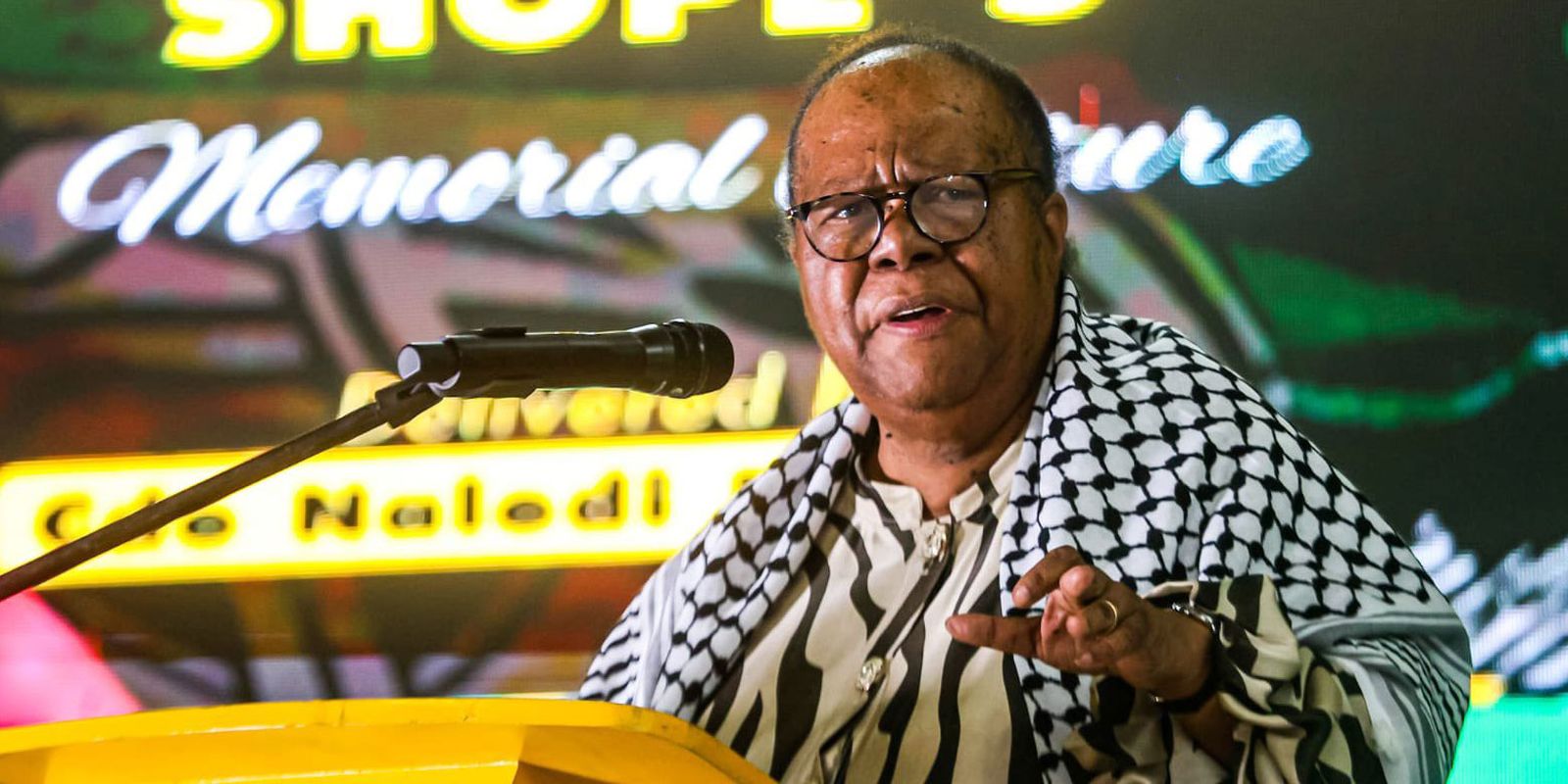 People are looking at ANC ‘with horror and shame’, says Naledi Pandor