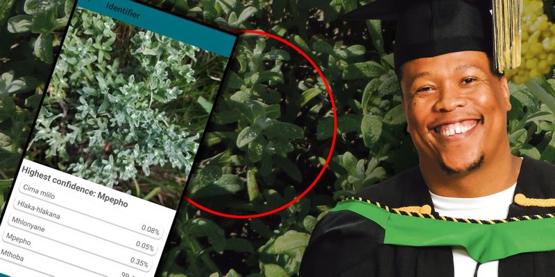 Traditional healer teaches AI app to recognise medicinal plants