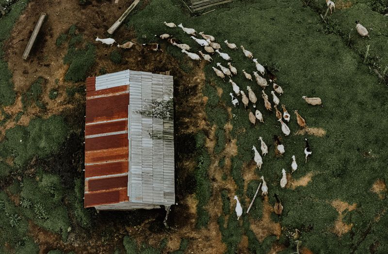 Sony World Competition — Showcasing striking perspectives from around ...